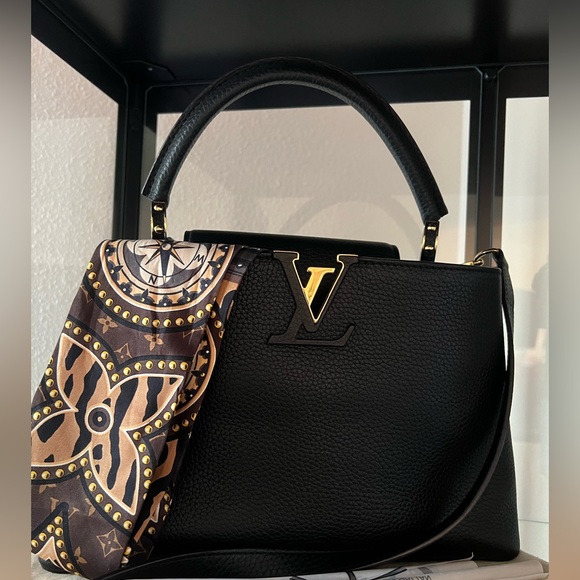 Louis Vuitton | Bags | Louis Vuitton Capucines Pm | Poshmark